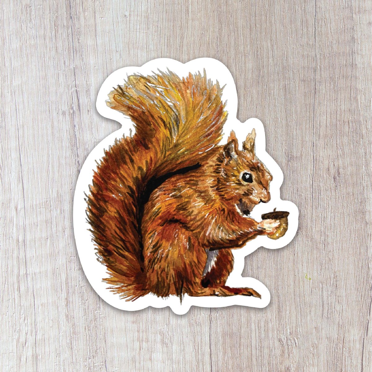 Squirrel Sticker | Brush & Bark