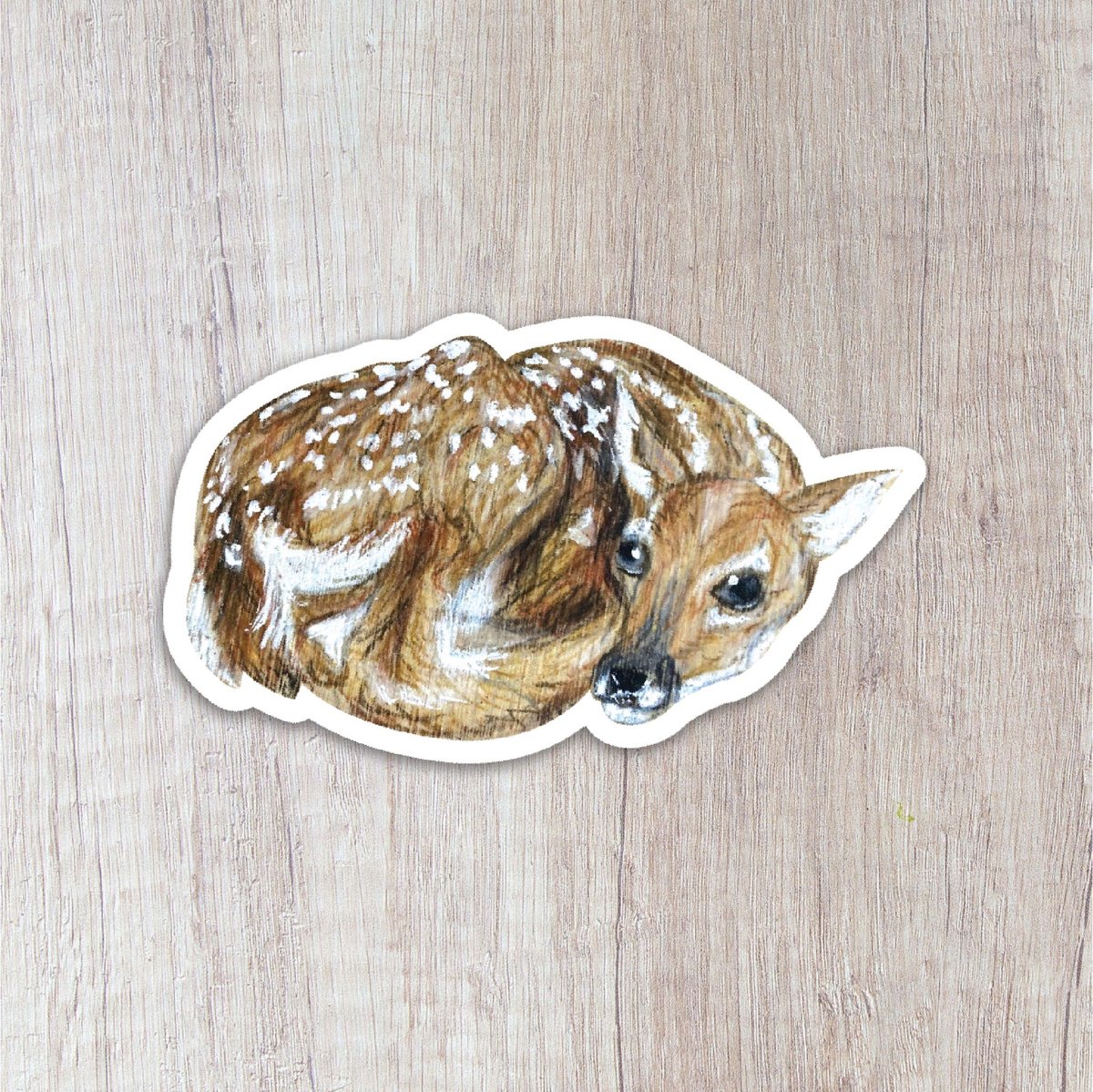 Fawn Sticker | Brush & Bark