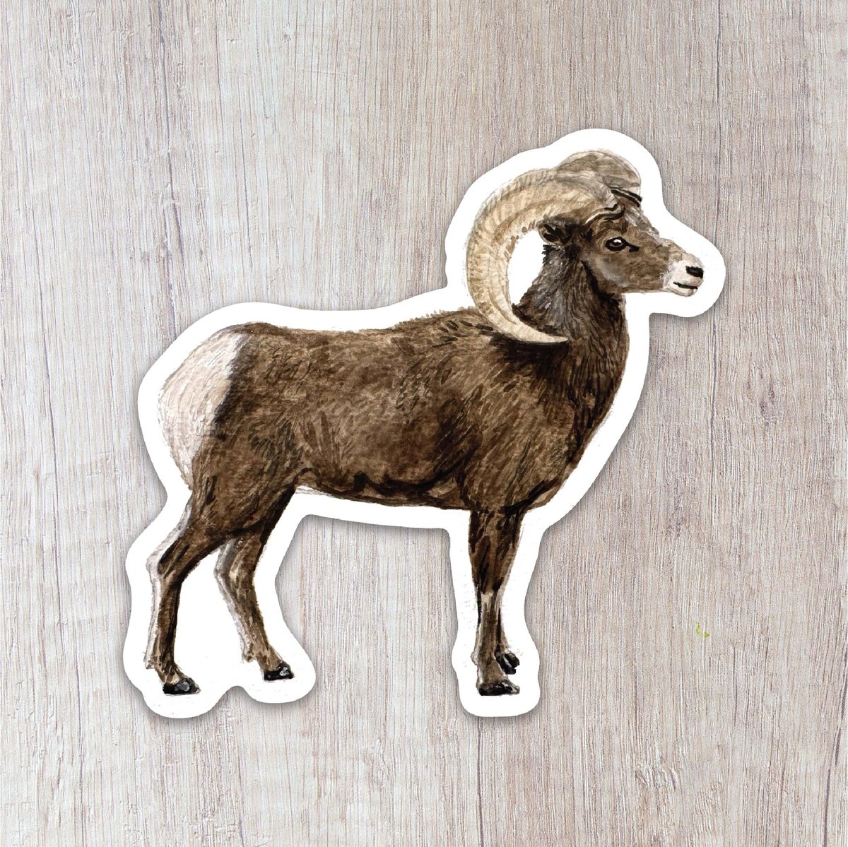 Bighorn Sheep Sticker | Brush & Bark