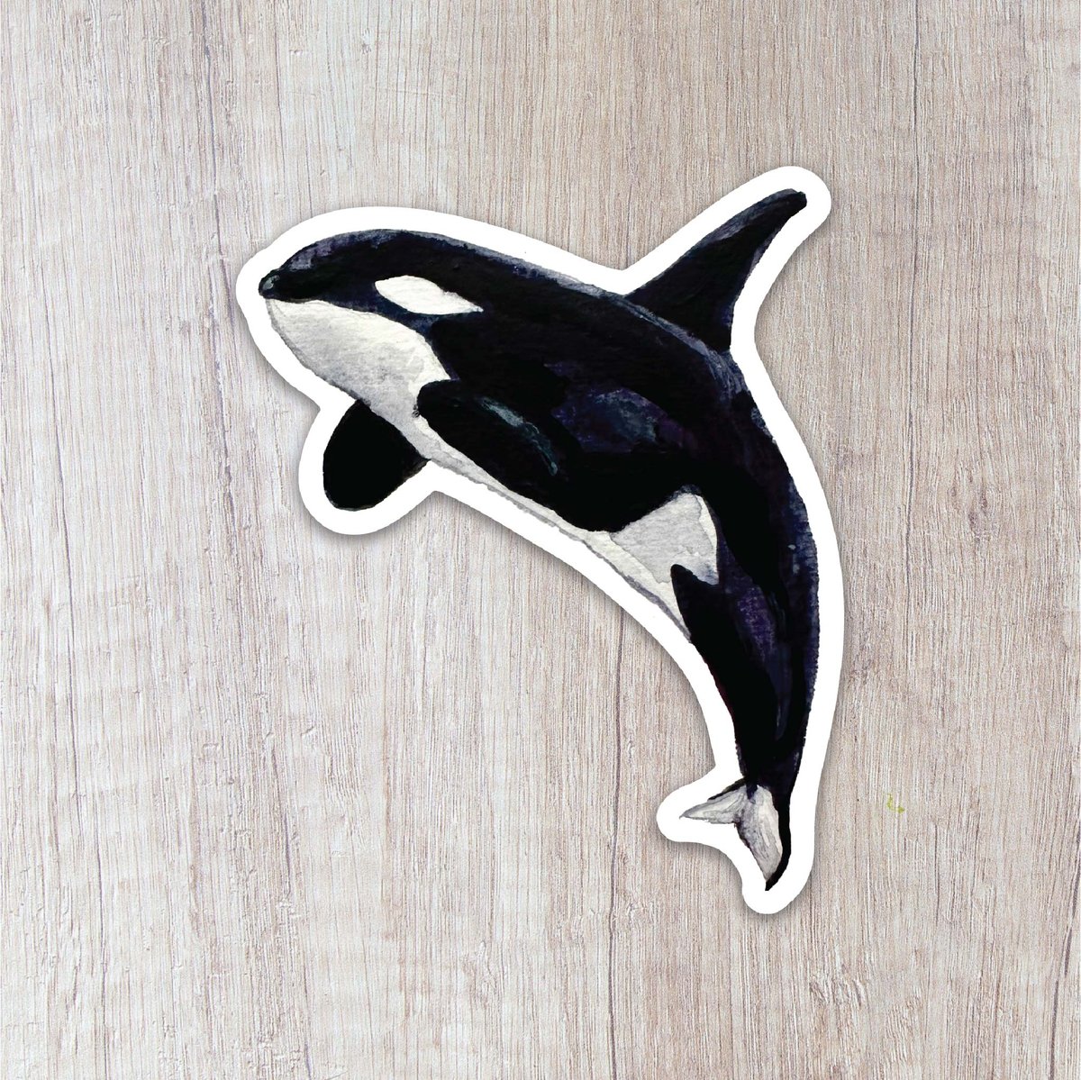 Orca Sticker | Brush & Bark