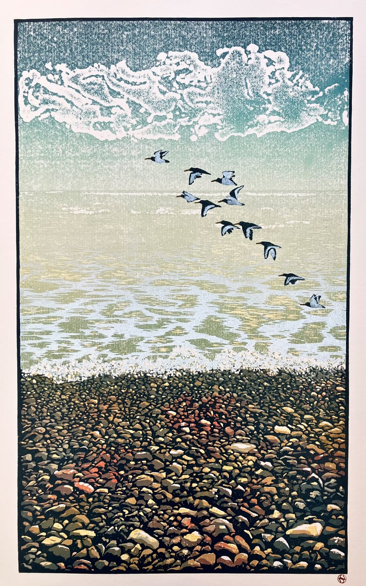 Shoreline Flyby | Susan Noble: Artist/Printmaker