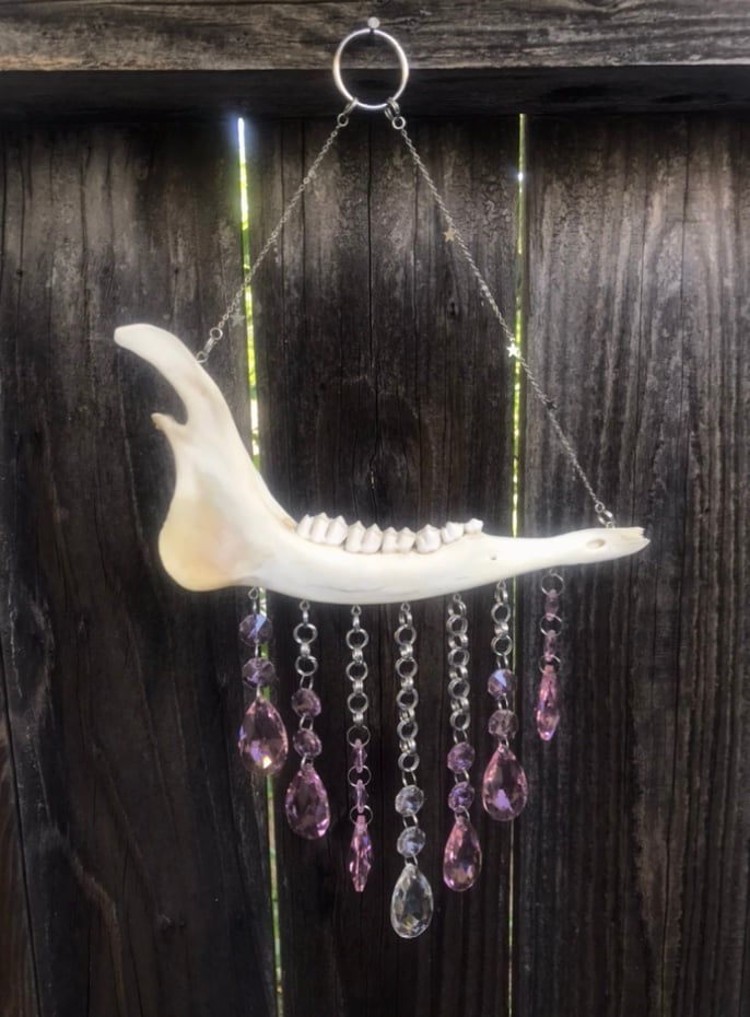 Deer Jaw Custom Suncatcher | The Bone Catcher