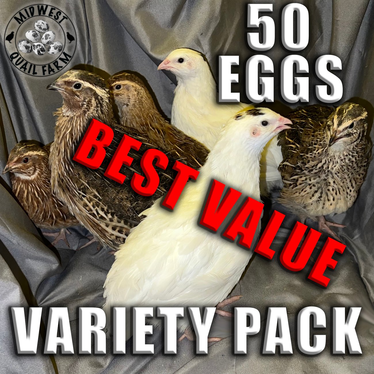 (50) Egg Jumbo Variety Pack | Midwest Quail Farm