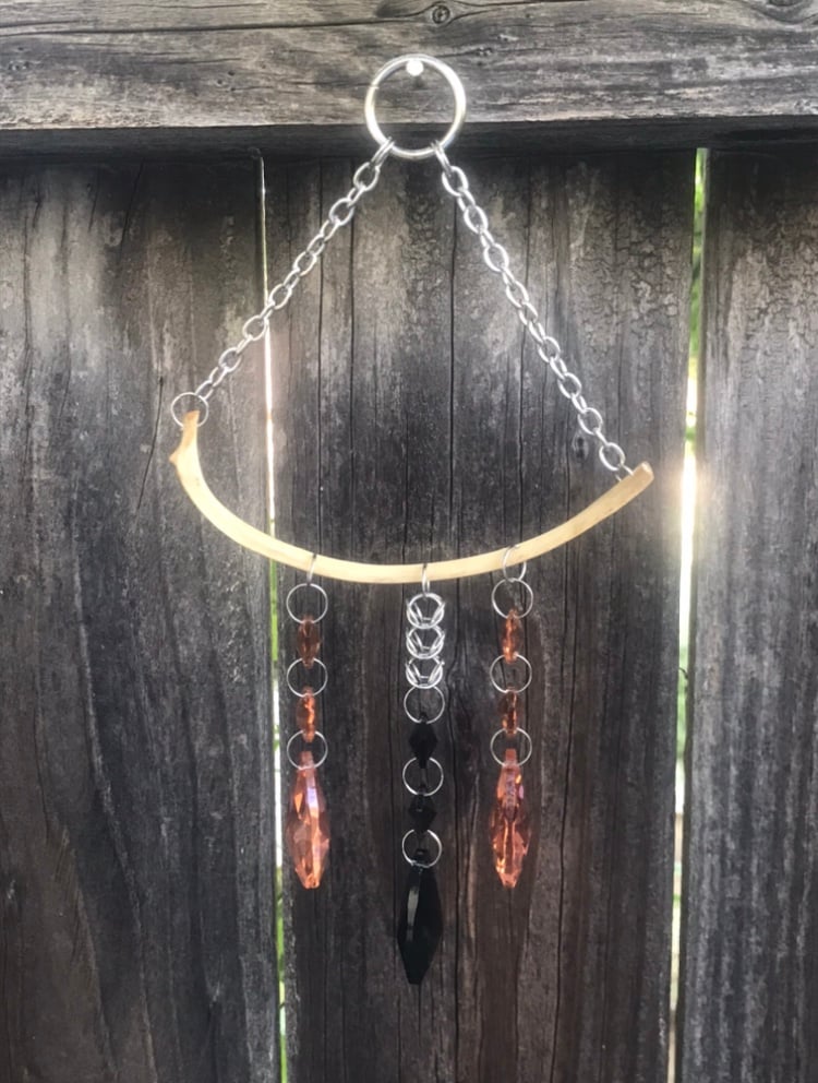 Coyote Rib Custom Suncatcher | The Bone Catcher