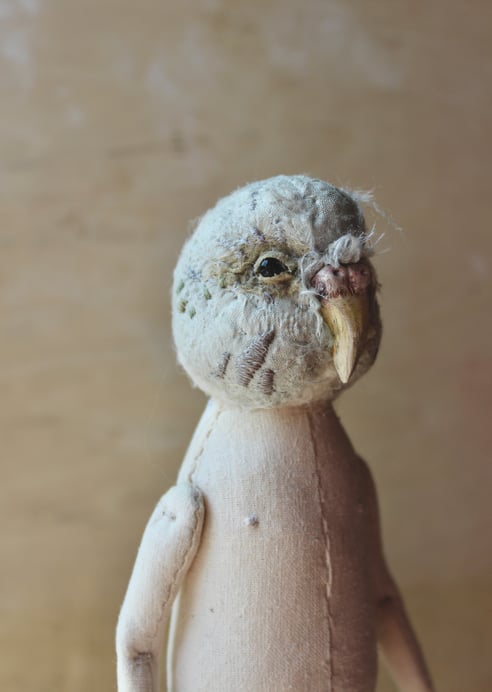 Home | The Pale Rook