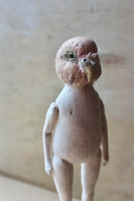 Home | The Pale Rook