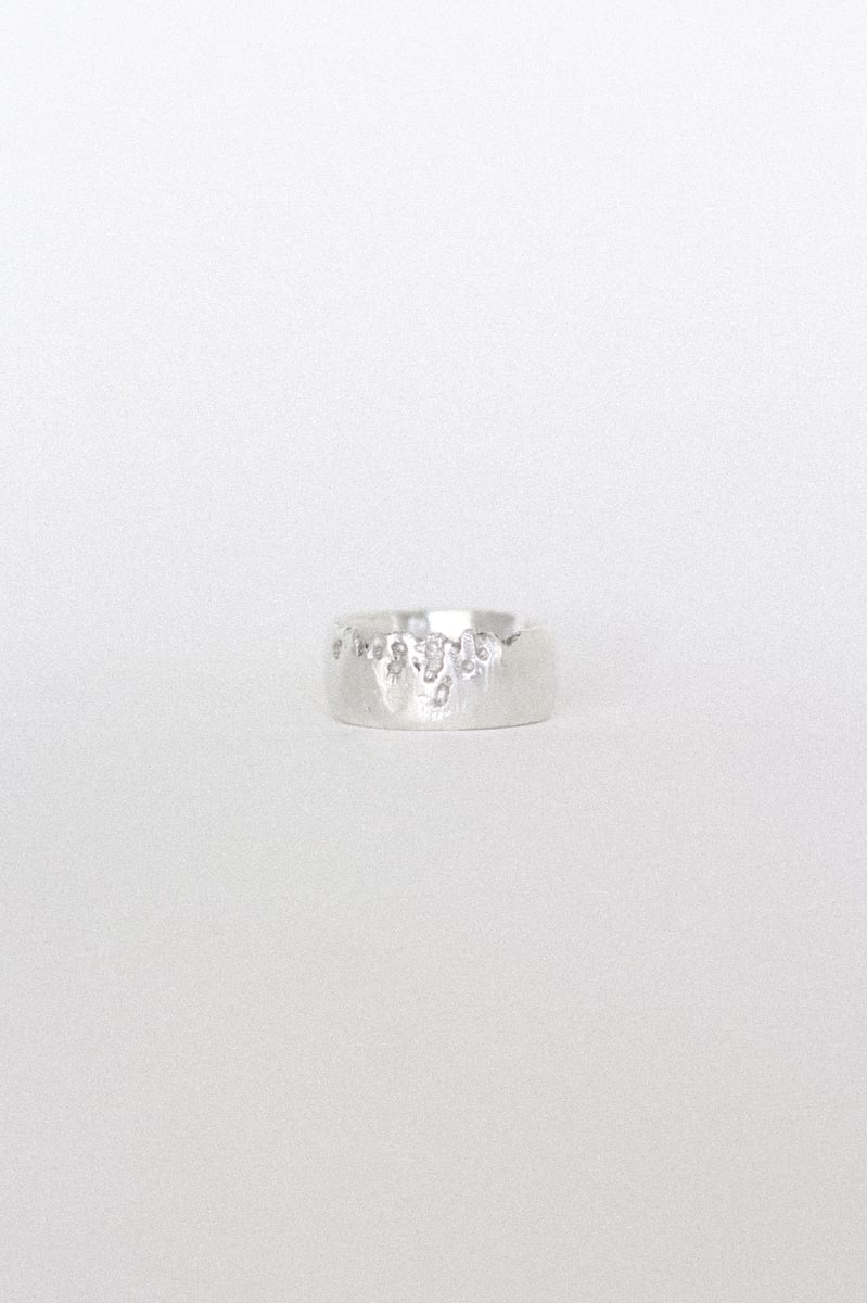 REINTRODUCTION | WANDA STUDIOS