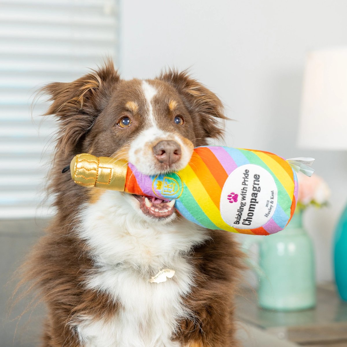 Bubbling with Pride - Dog Plush Toy | Uncommon Paws