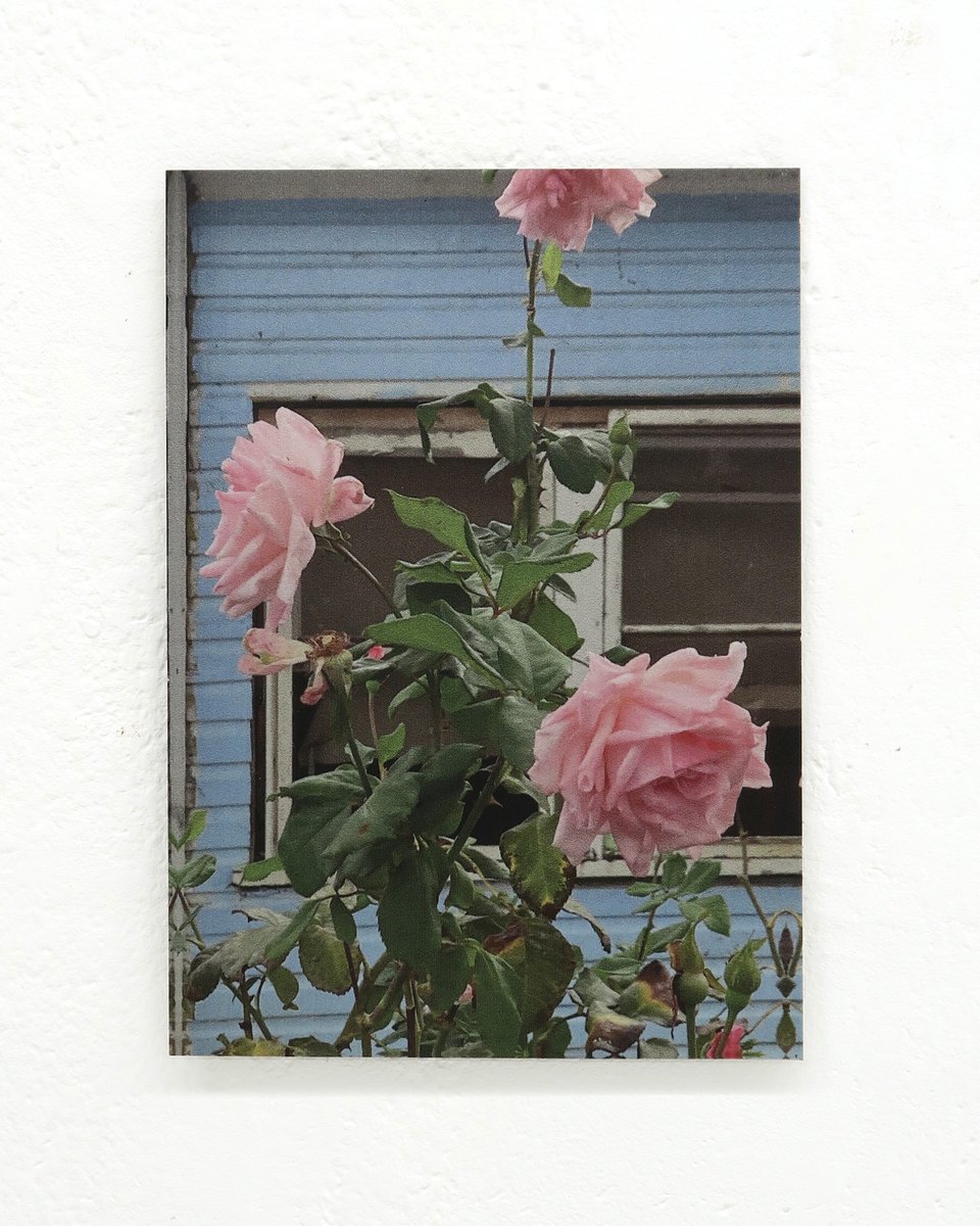 Gabriella Lo Presti 'Country Poem'. Original artwork | CHINA HEIGHTS