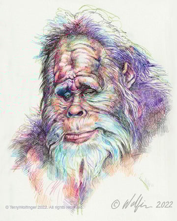 Products | Wolfinger