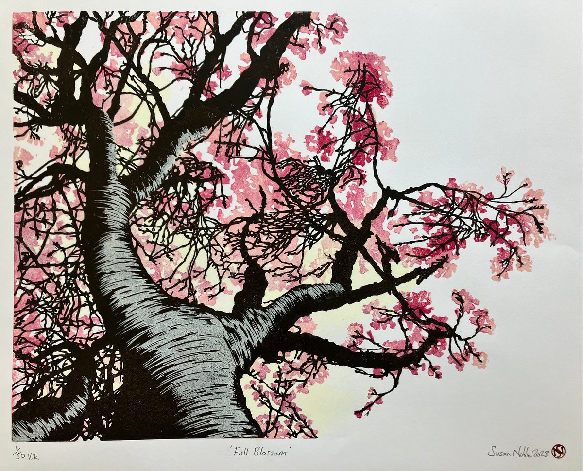 Products | Susan Noble: Artist/Printmaker