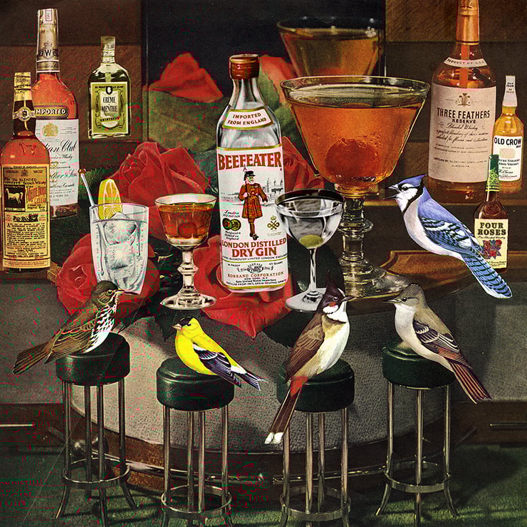 Bar Birds - limited edition collage print | VivienneStrauss
