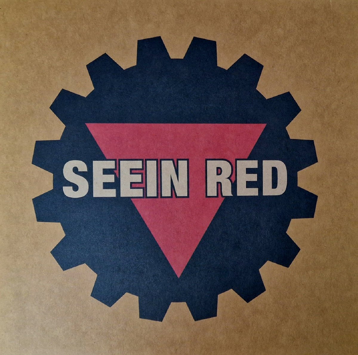 SEEIN' RED "Past, Present, (In)tense" LP | dropdeadhc