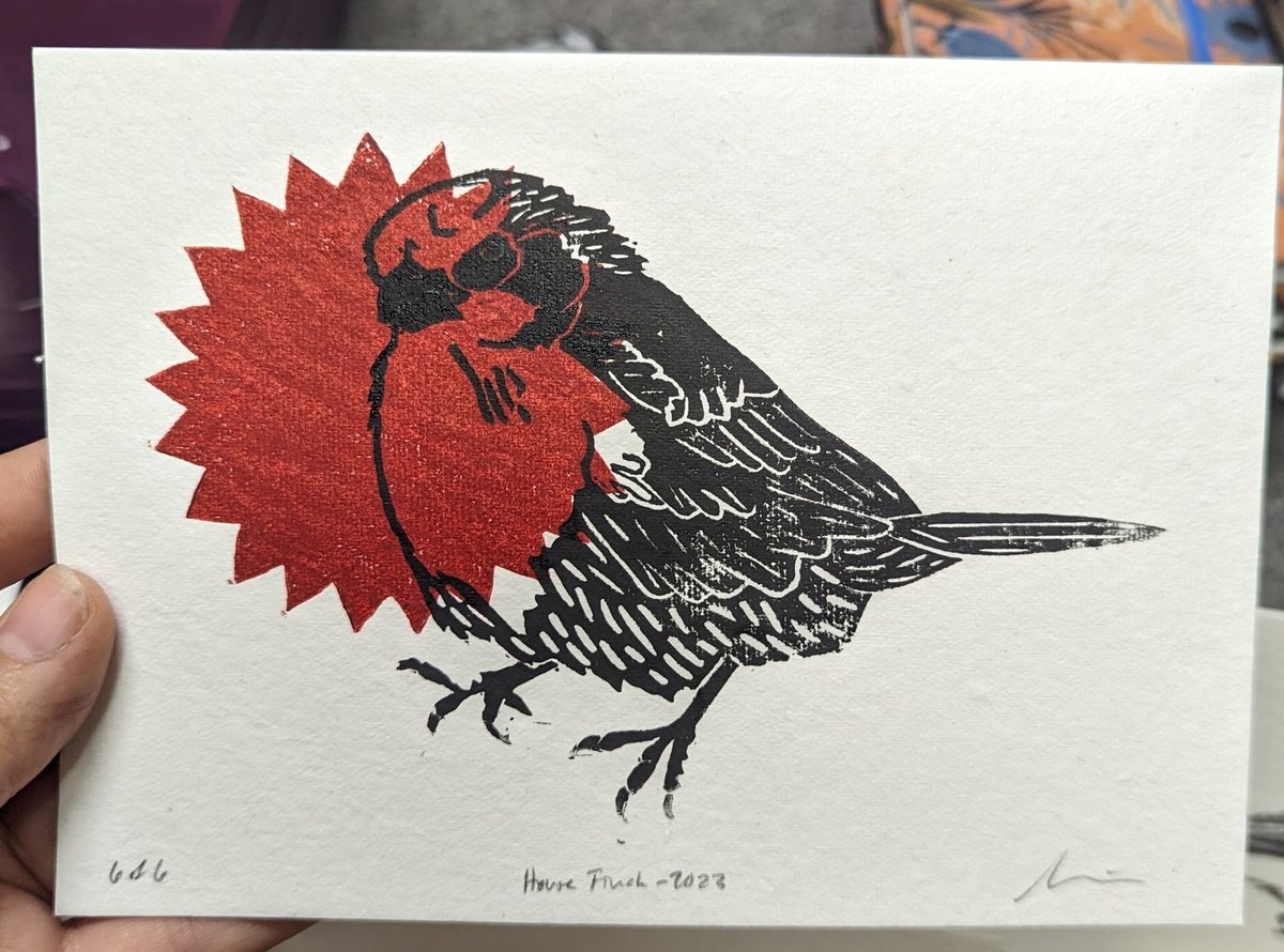 House Finch Block Print | Miriam Felton Designs