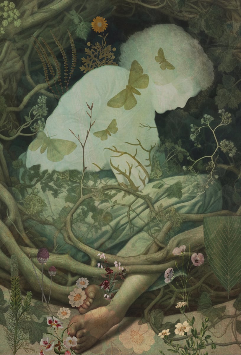 Woodland Sleeper | Sarah Jarrett Art