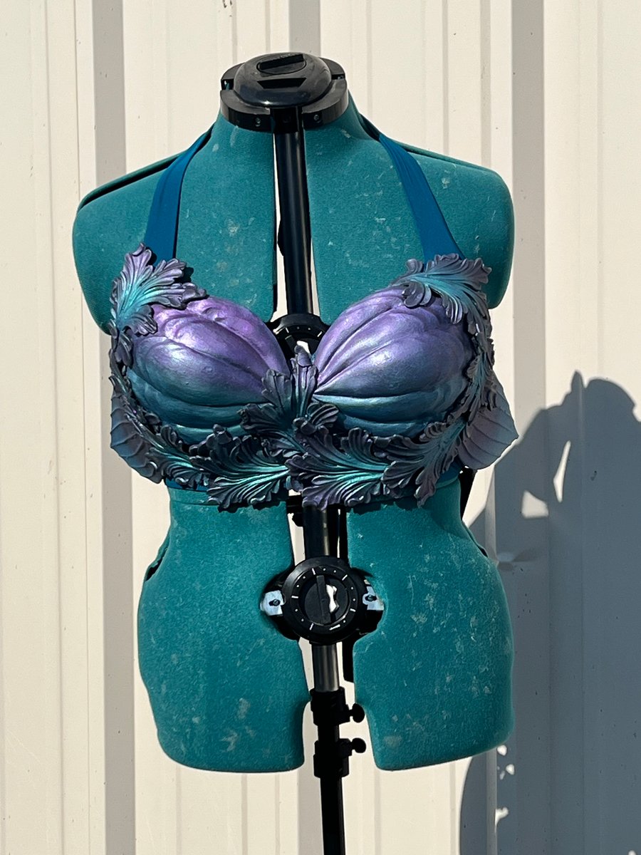 Customs Ariel Shells | QilinOddities