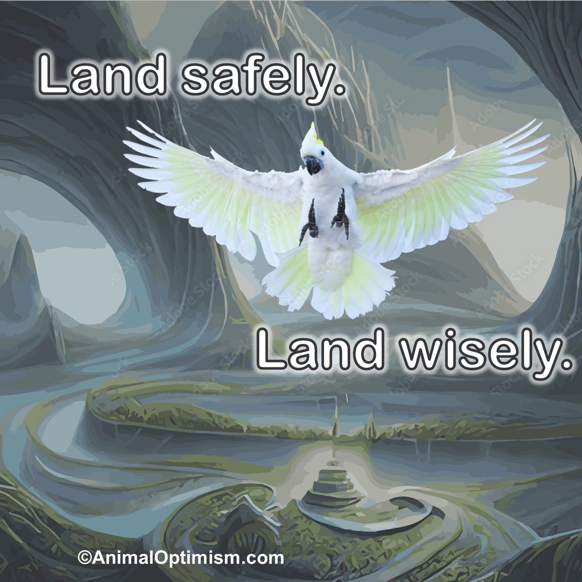 Bird: Land Safely. Land Wisely. | Animal Optimism