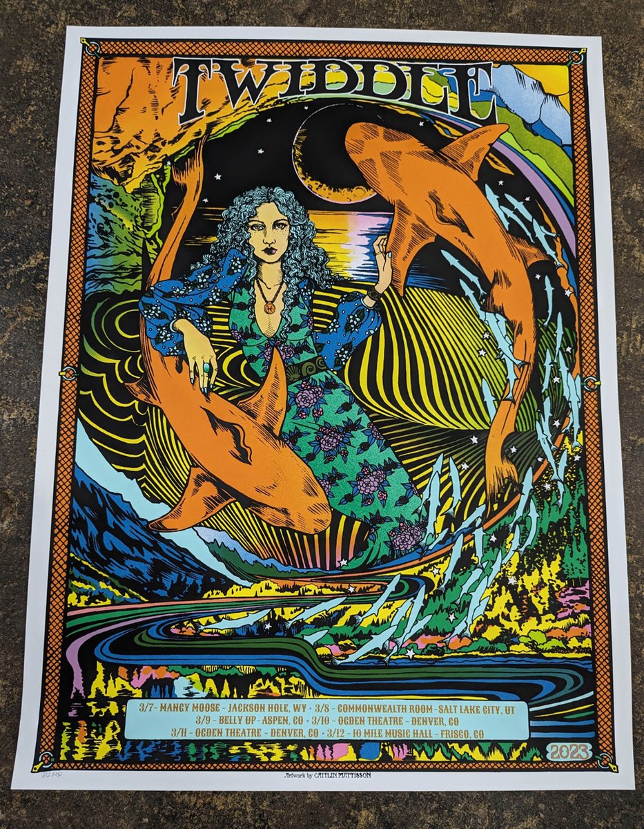 Twiddle - March 2023 Tour Poster - Art by Caitlin Mattisson ...