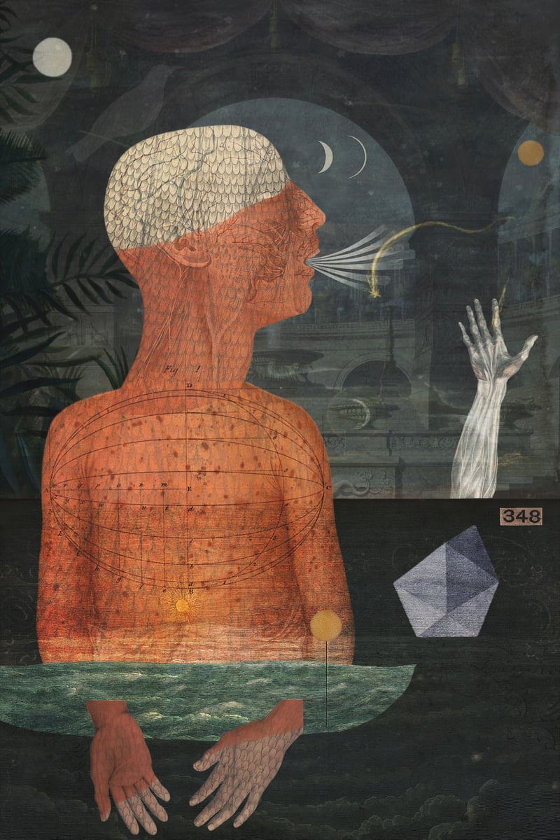 Singularity | Sarah Jarrett Art