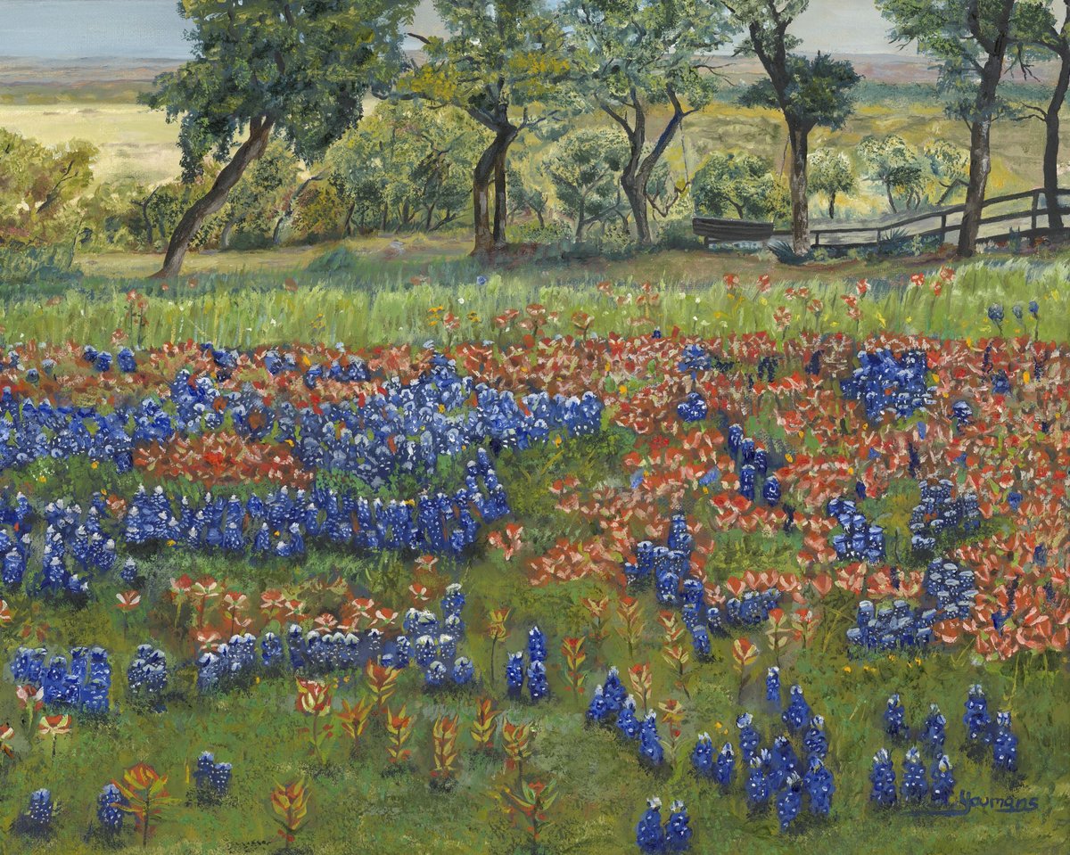 "Hill Country" - Prints | The Art of Kim Youmans