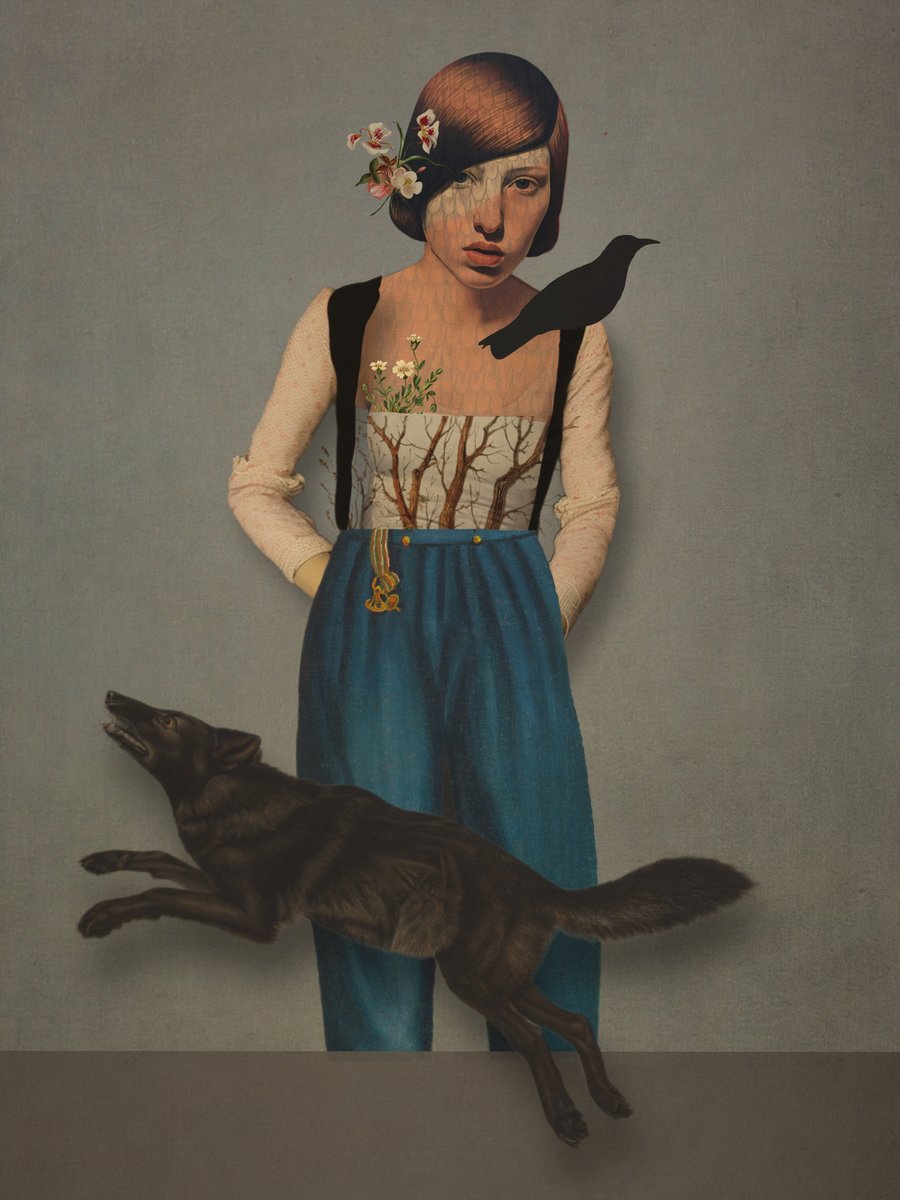 Wolf | Sarah Jarrett Art