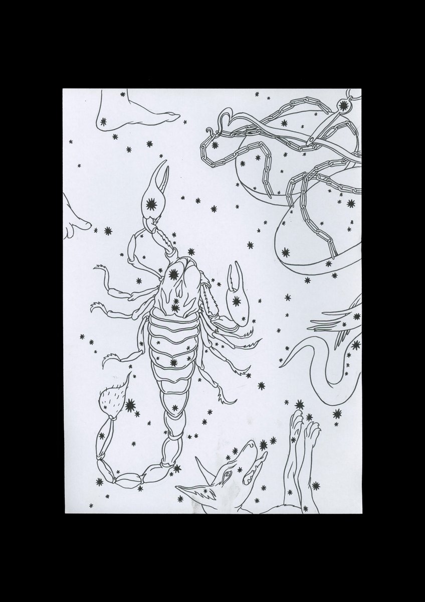 Alice Bloomfield — Original Zodiac Drawing