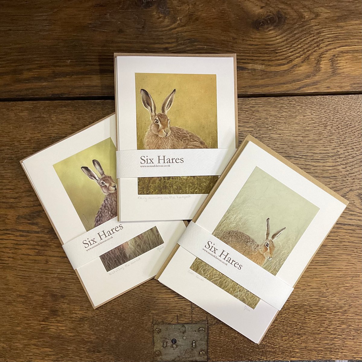 Gift set of 6 individual hare cards. | Moira de Lavenu Art