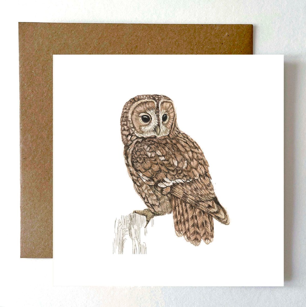 TAWNY OWL CARD | Helen Briggs Design- Bird Artwork and Nature Prints