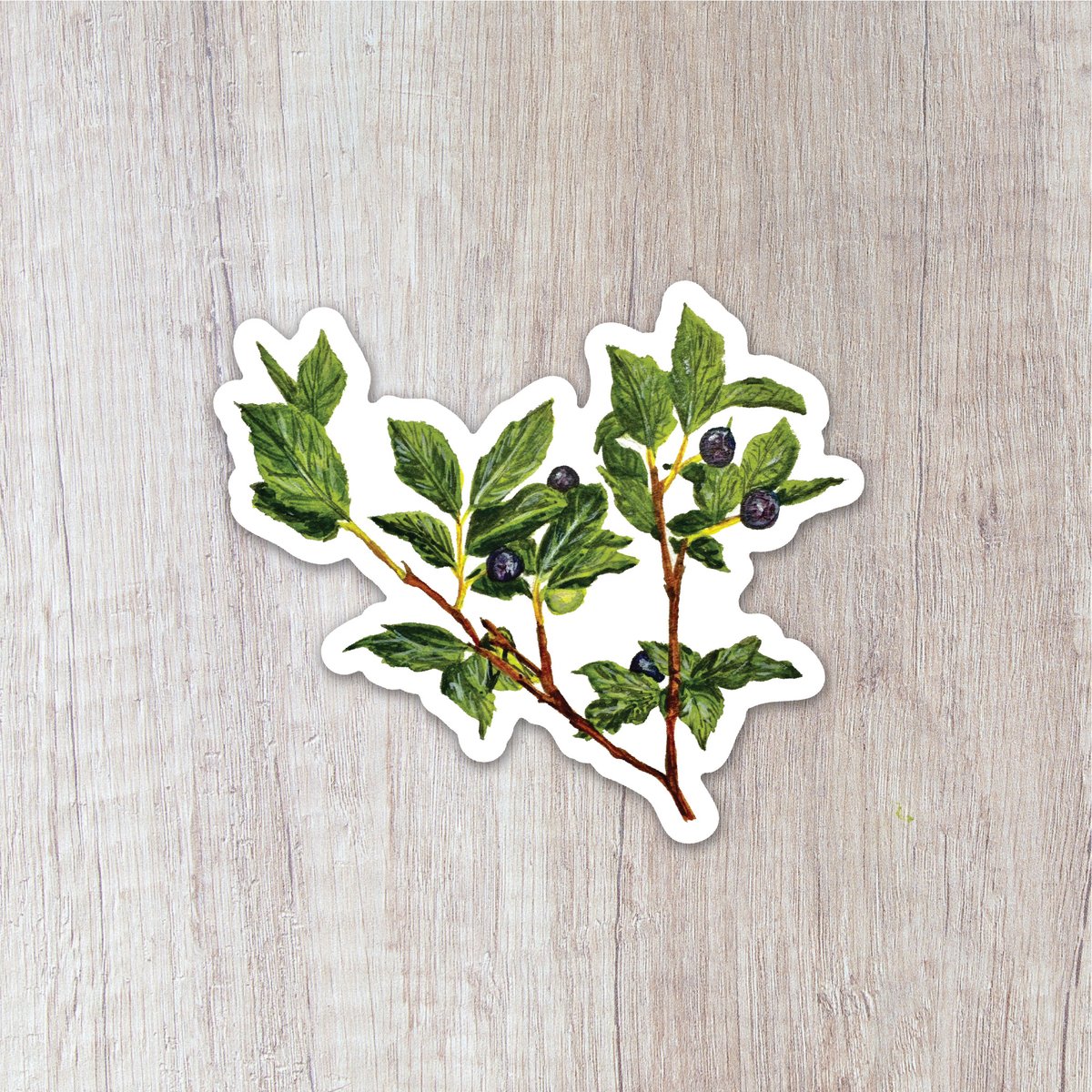 Huckleberries Sticker | Brush & Bark
