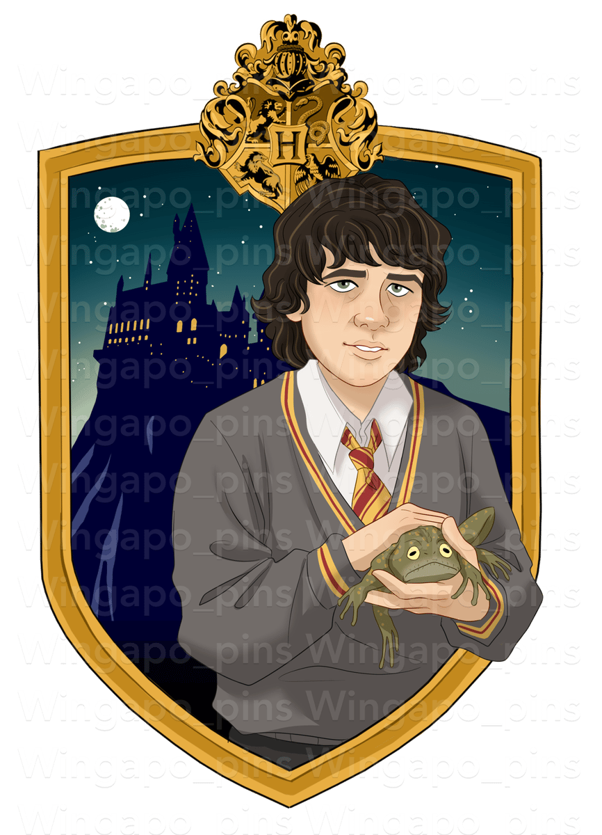 N&T HIOH full pin | Wingapo Pins