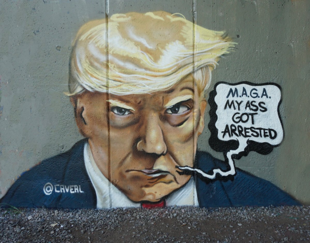 MAGA Print | Chris Veal Art