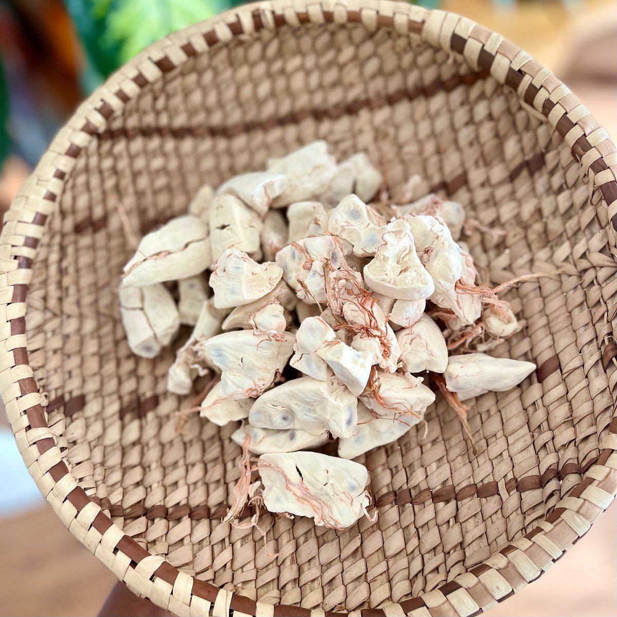 Products | Zumbanitea