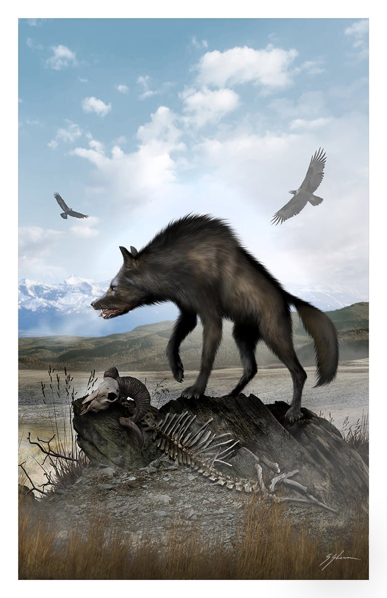 SHUNKA WARAKIN | Mister Sam Shearon