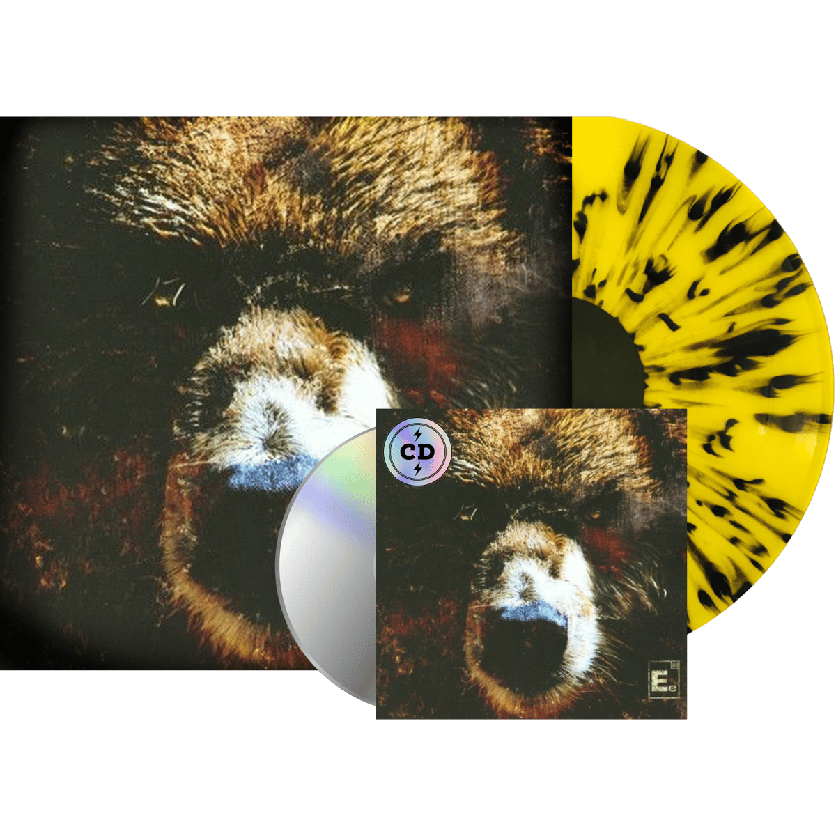 The Bear Bundle | Element Eighty