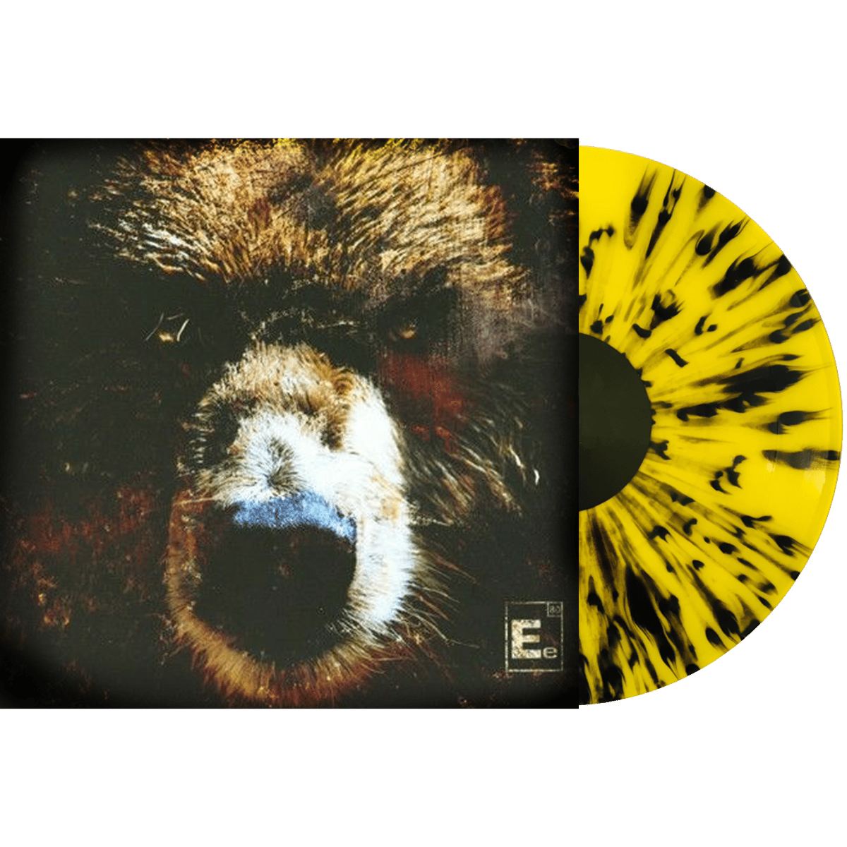 The Bear Vinyl | Element Eighty