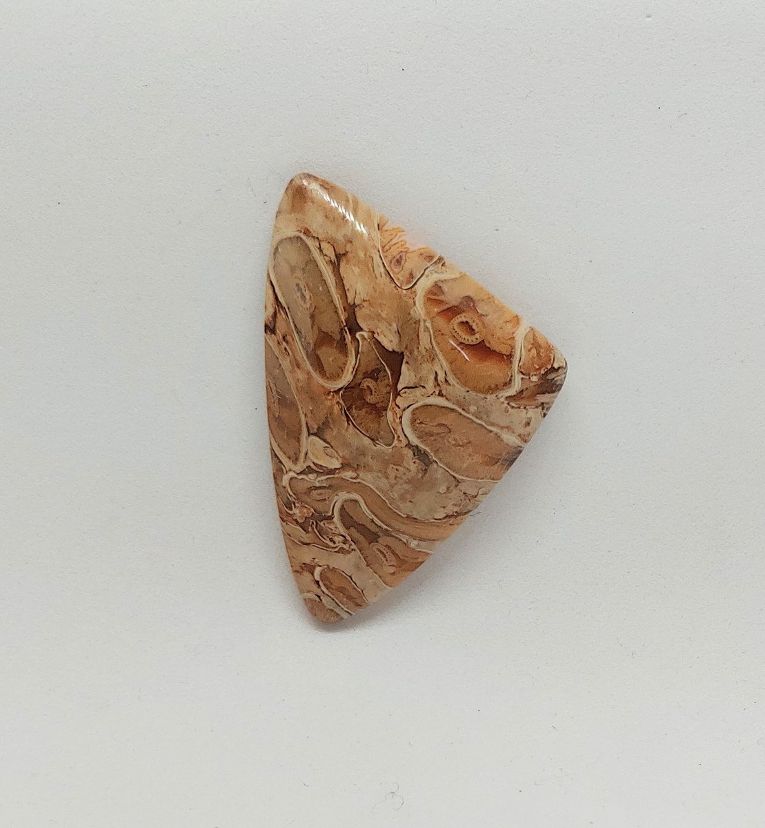 Indonesian Palm Root Fossil Magnetic Pin #23-686 | Rock N' More Accents
