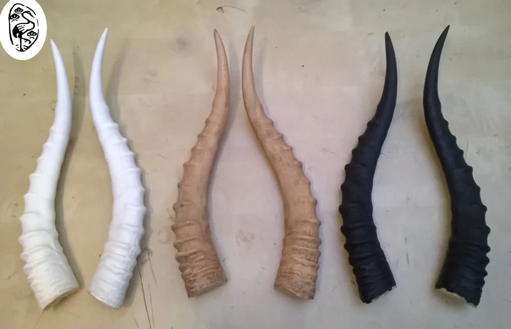 Replica Blesbok Horns | Black Crane Creations