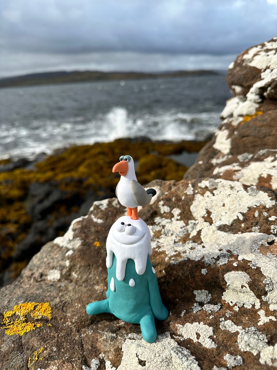 Pooping Seagull | Waaber