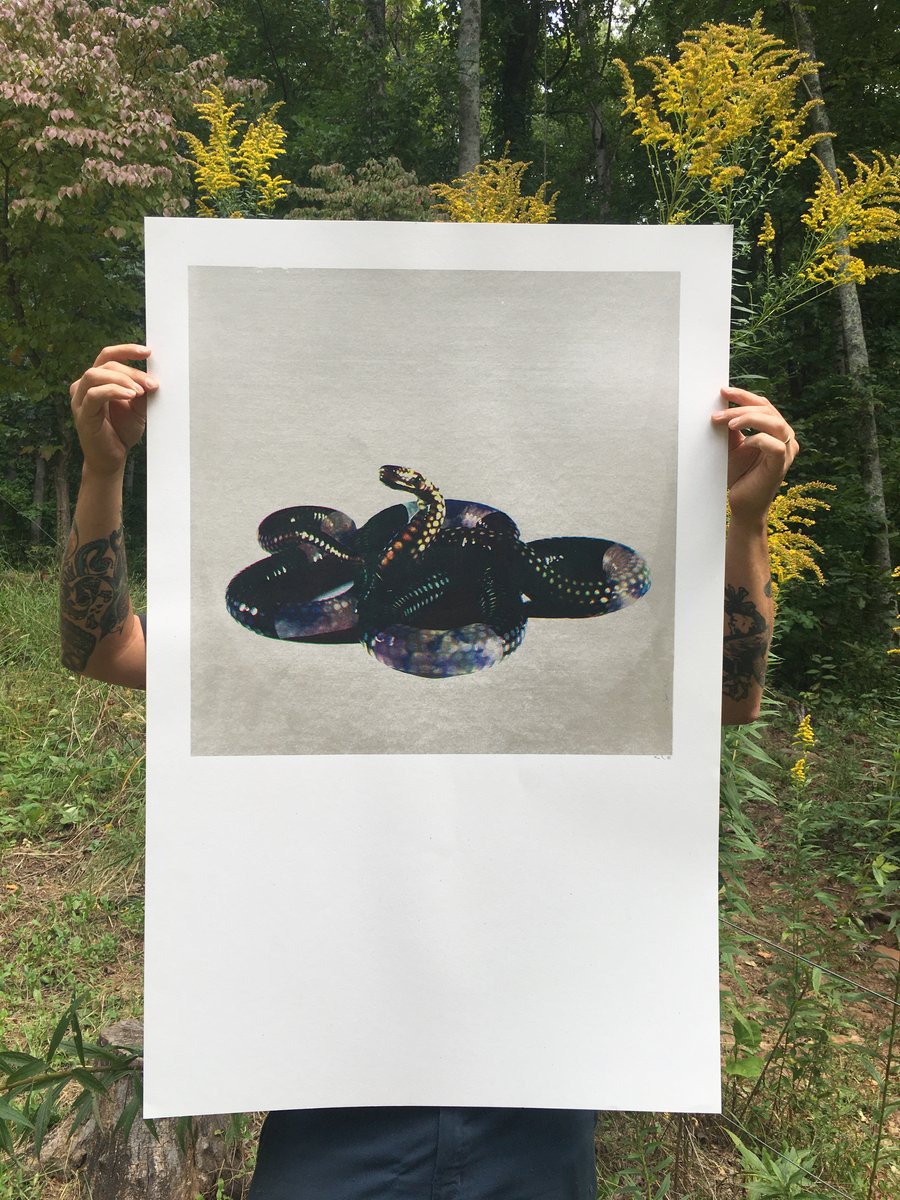 Large Snake | lost mountain prints