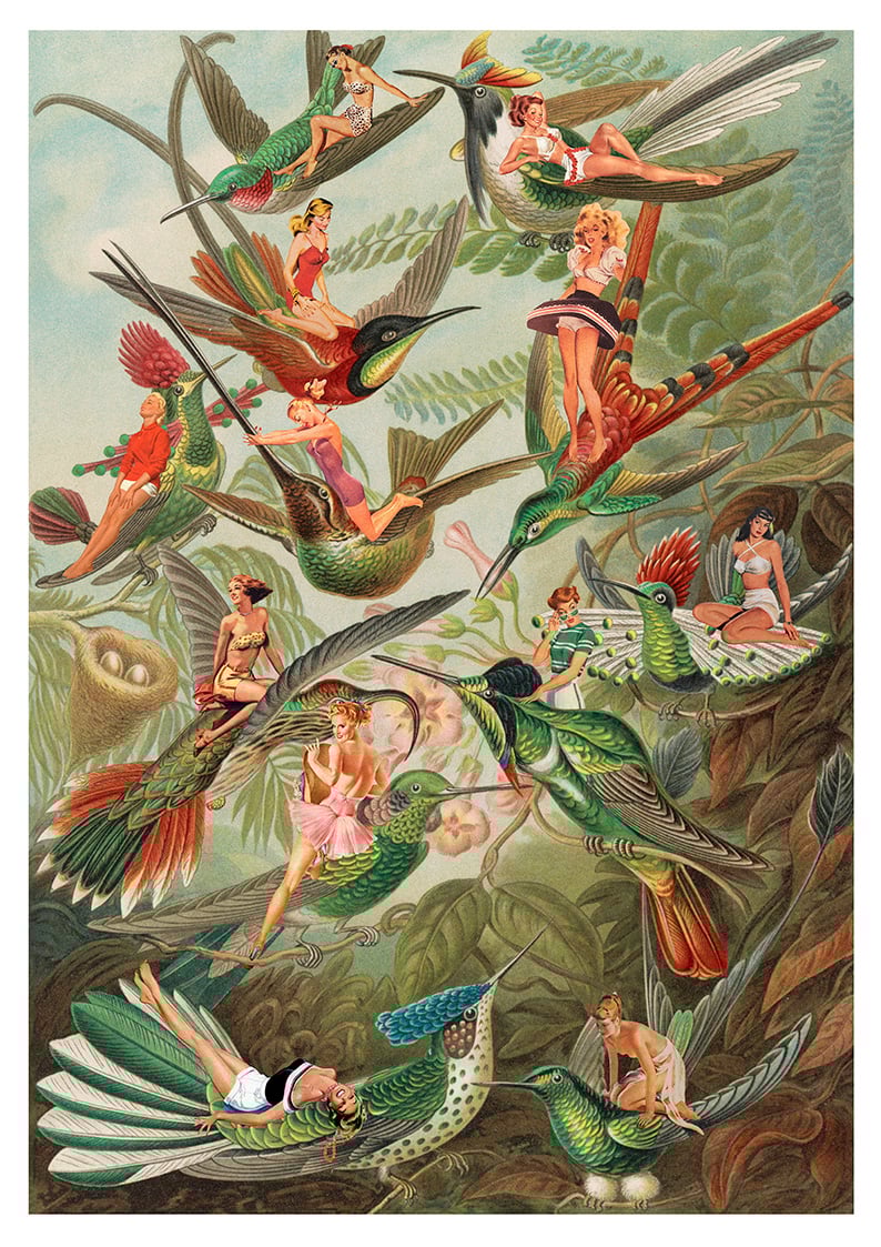 Products | Ads Libitum