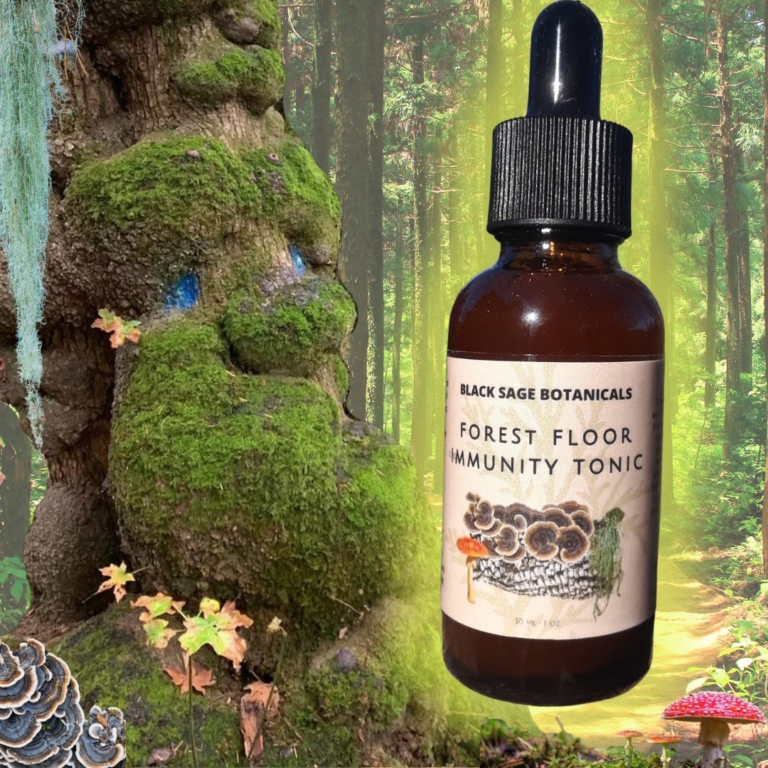 forest floor community immunity tonic | BLACK SAGE BOTANICALS