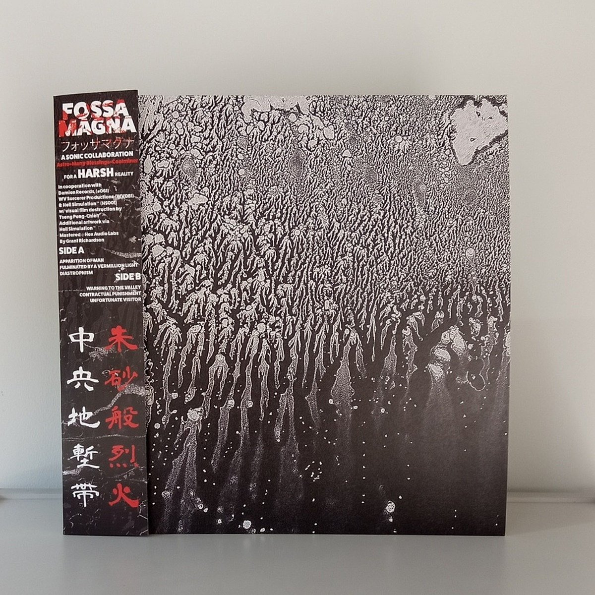 FOSSA MAGNA "S/T" | We Are Damien Records