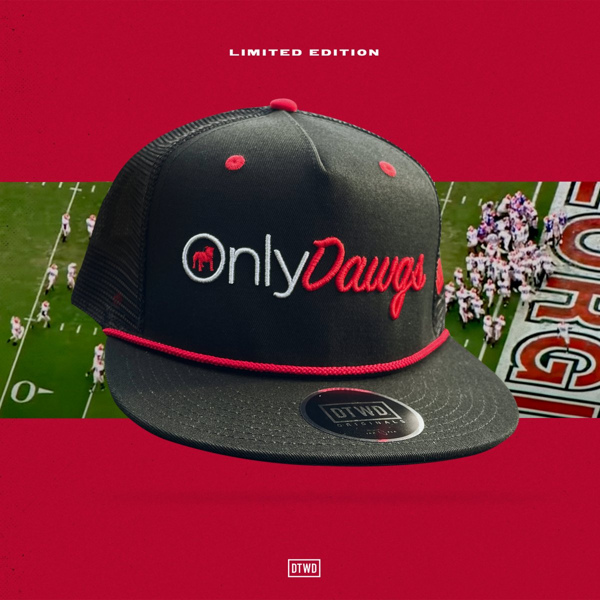 DTWD | Only Dawgs - Trucker