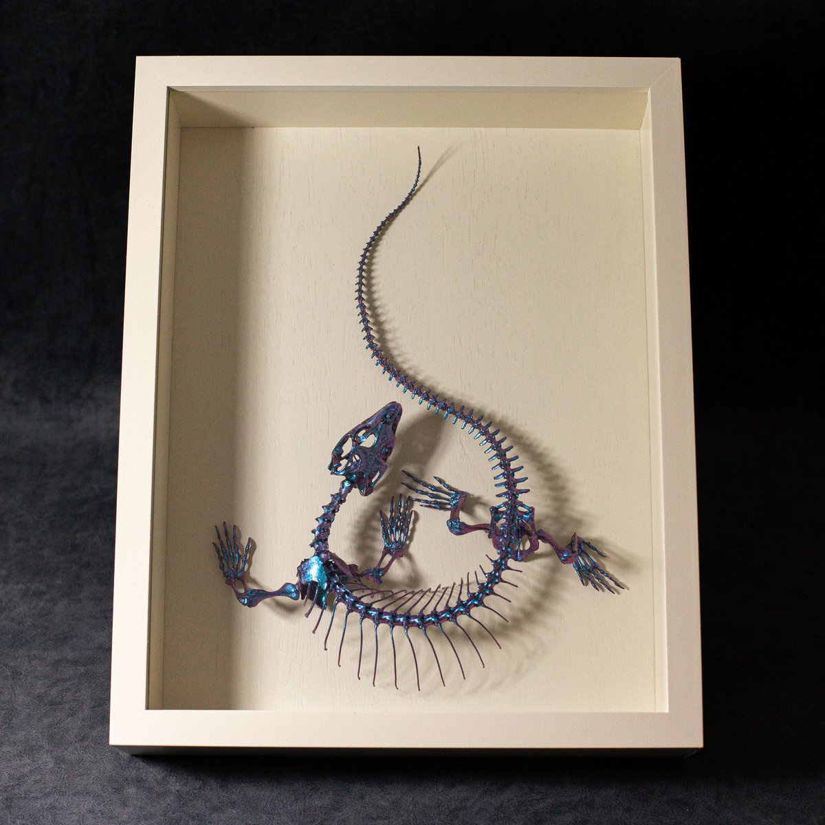 TOMSIMAGINATION — Savannah Monitor Skeleton