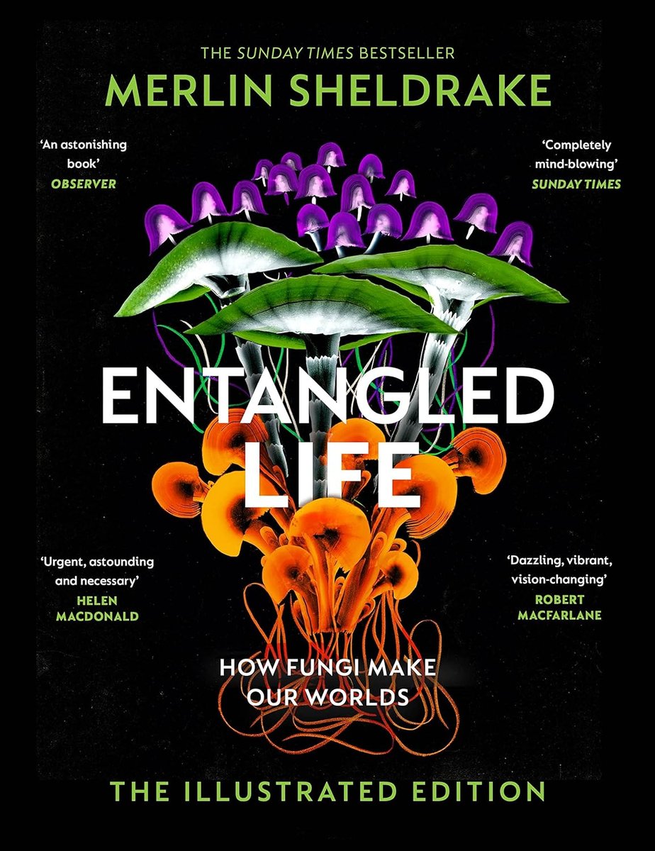Entangled Life: The Illustrated Edition | Nature Books Online