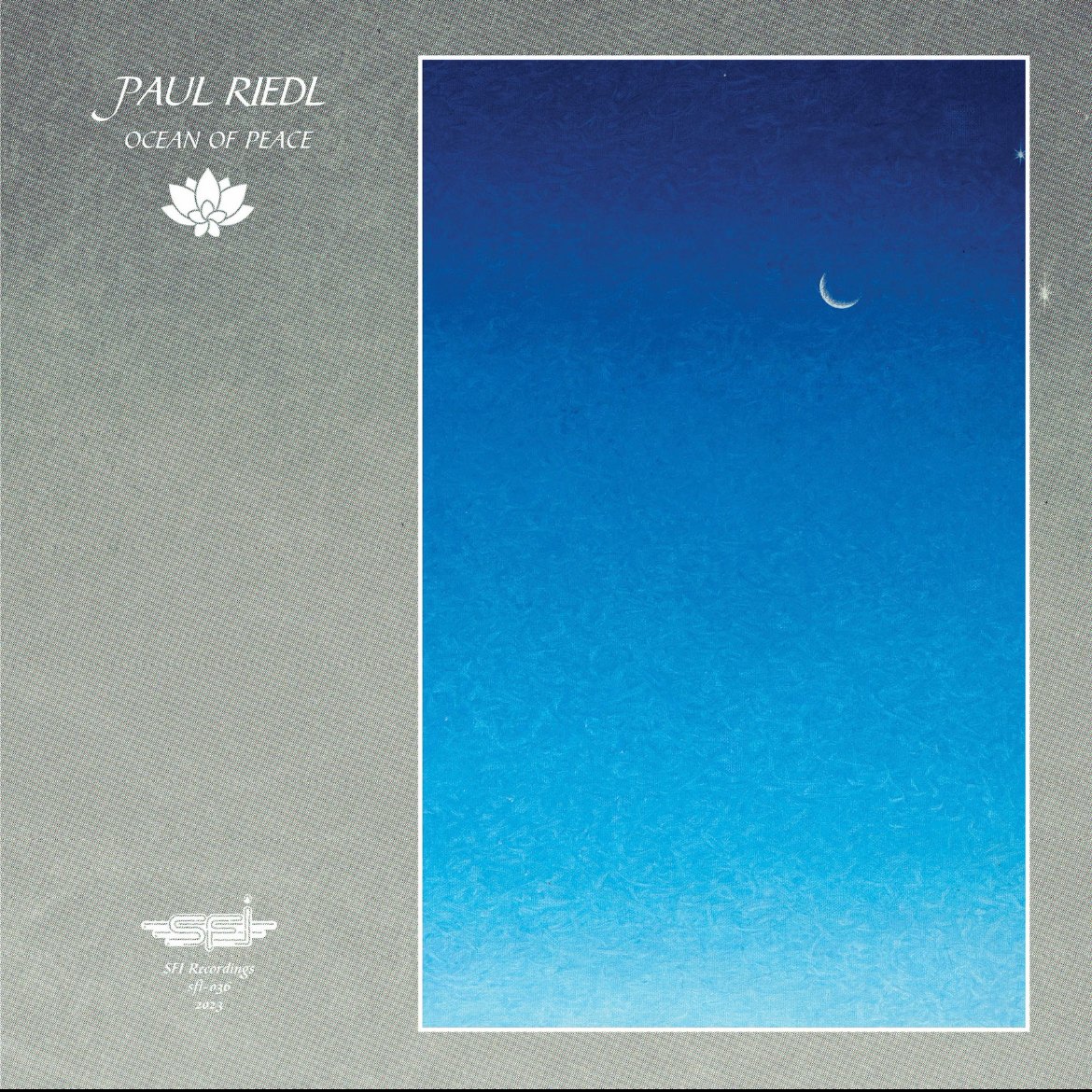 Paul Riedl "Ocean of Peace" LP | woodsmoke