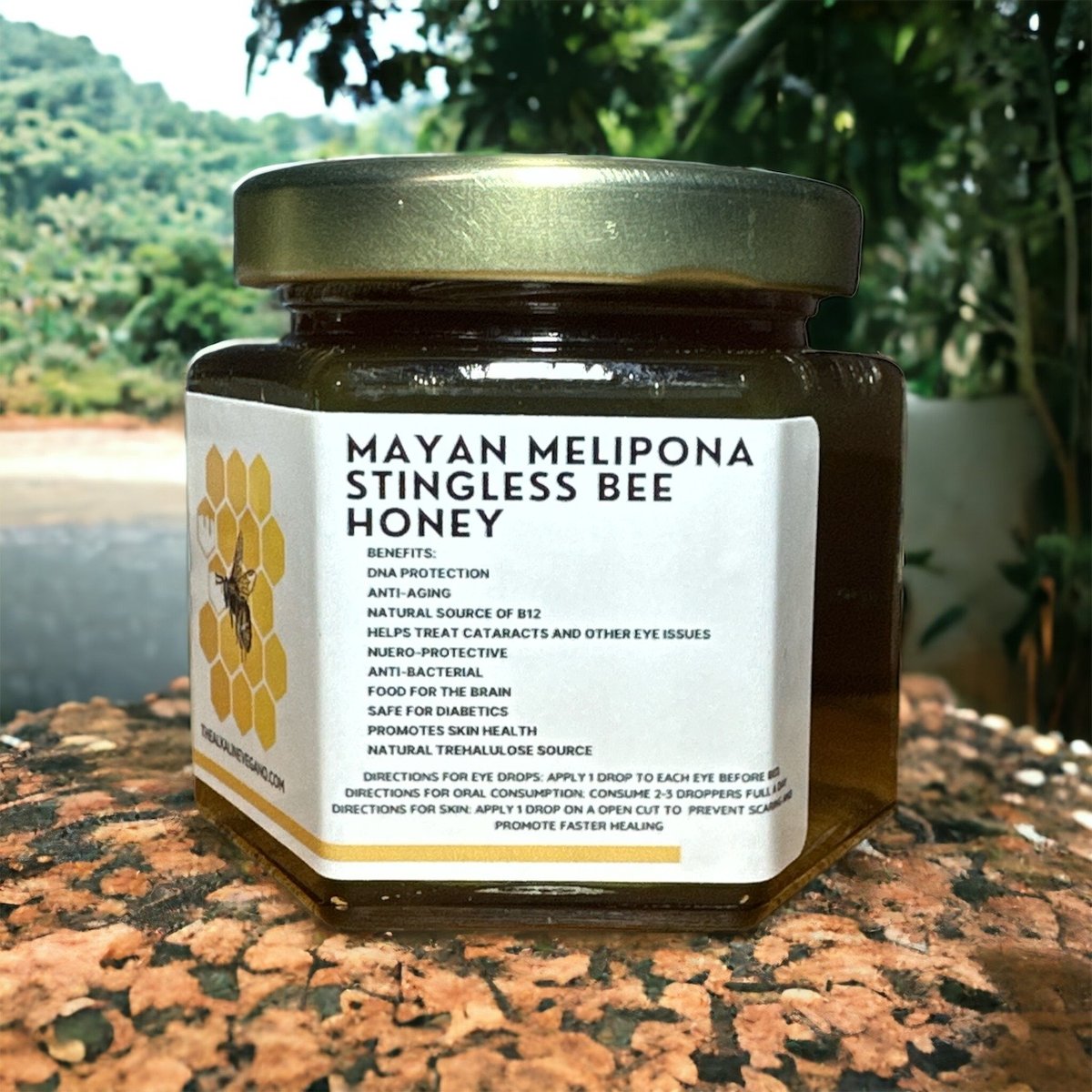 MAYAN MELIPONA STINGLESS BEE HONEY POT 4oz | TheAlkalineVegano