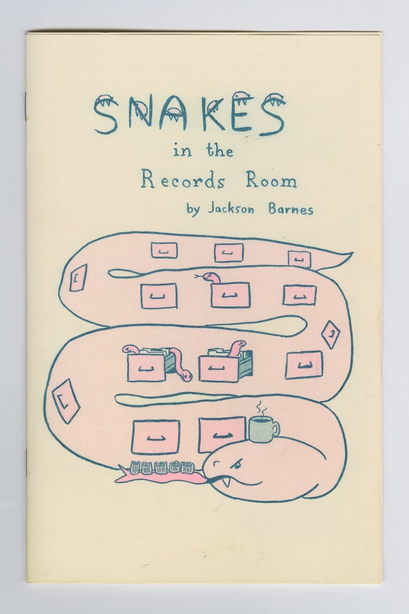 Snakes in the Records Room | RISO Bookstore