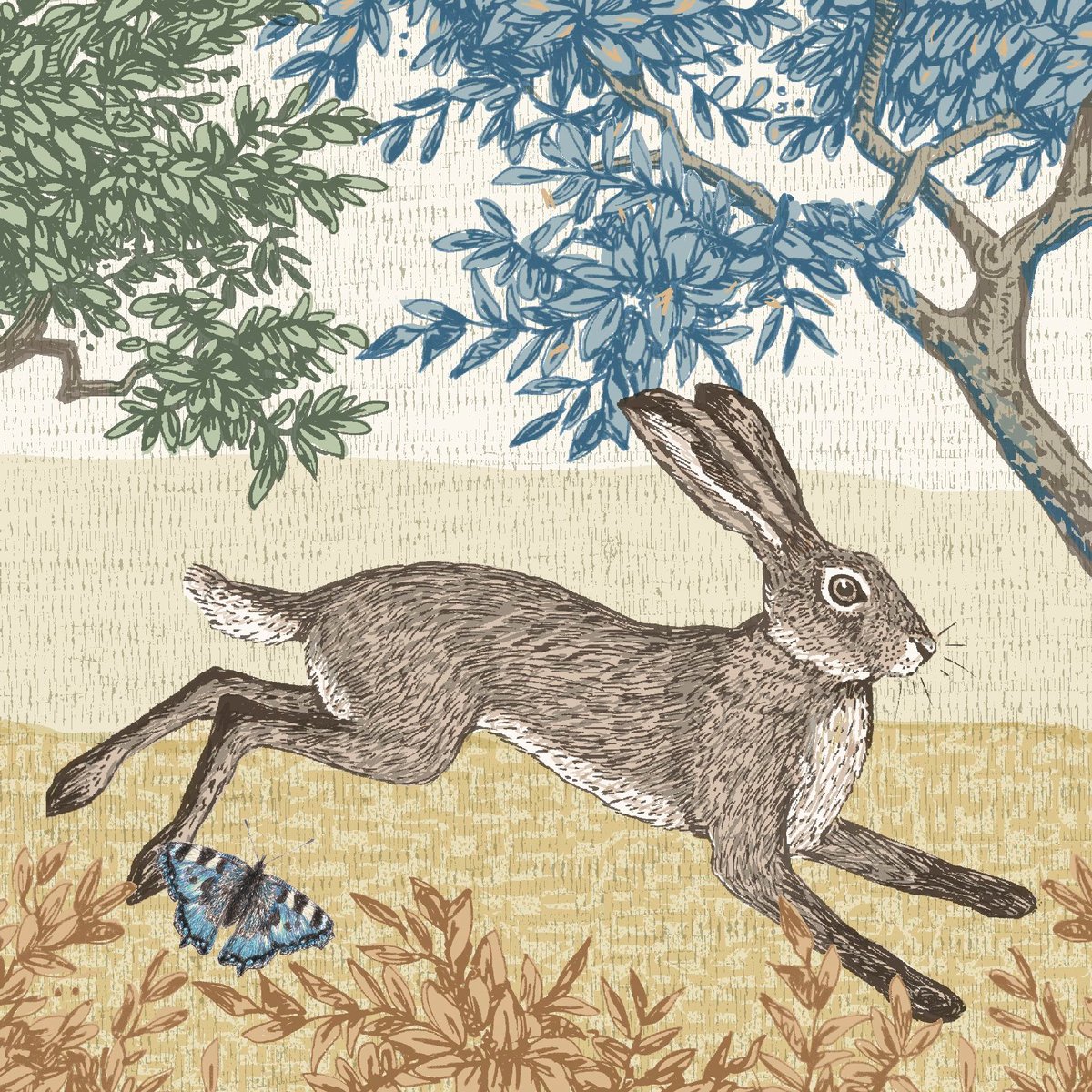RUNNING HARE HBD02515 | Helen Briggs Design- Bird Artwork and Nature Prints