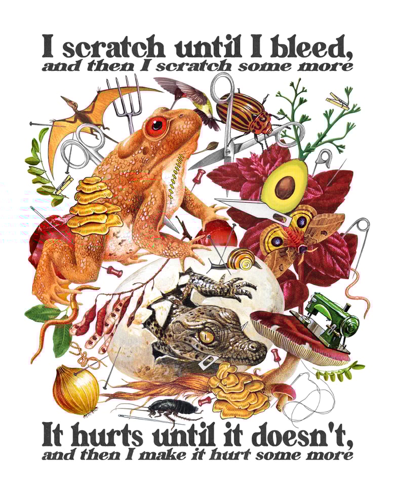 Home | A Soft Wrongness Home | A Soft Wrongness